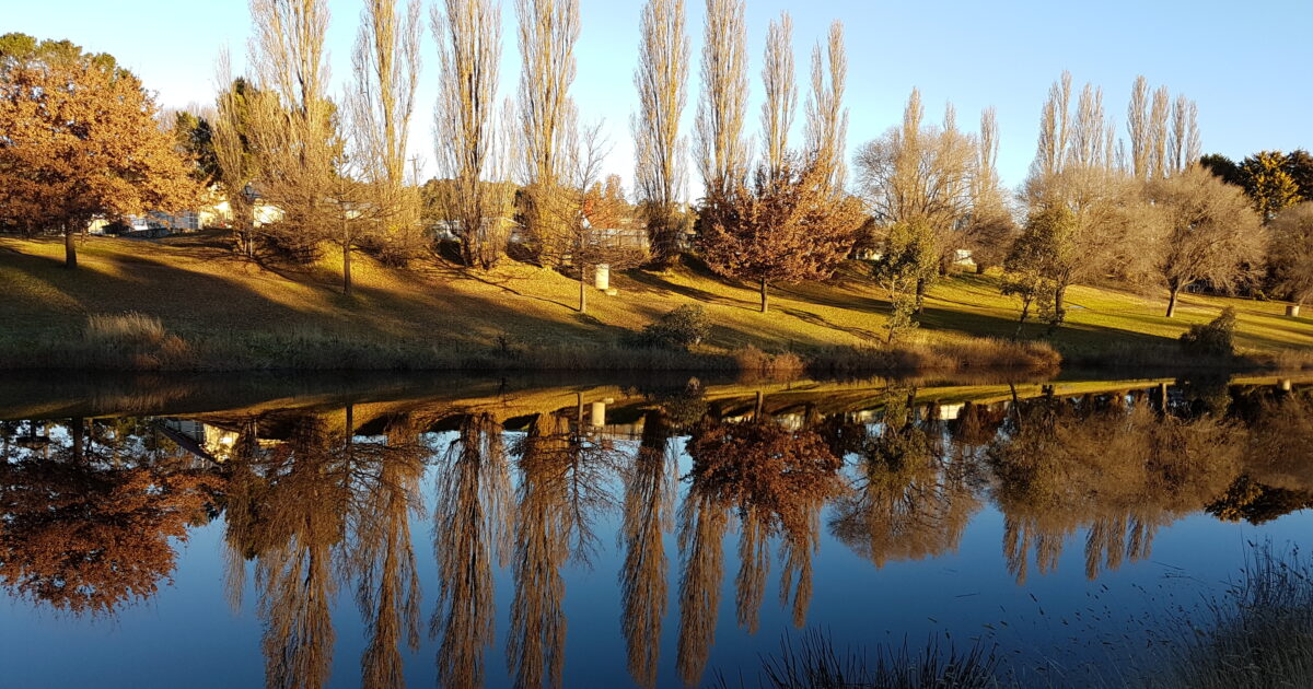 Bombala | Snowy Mountains
