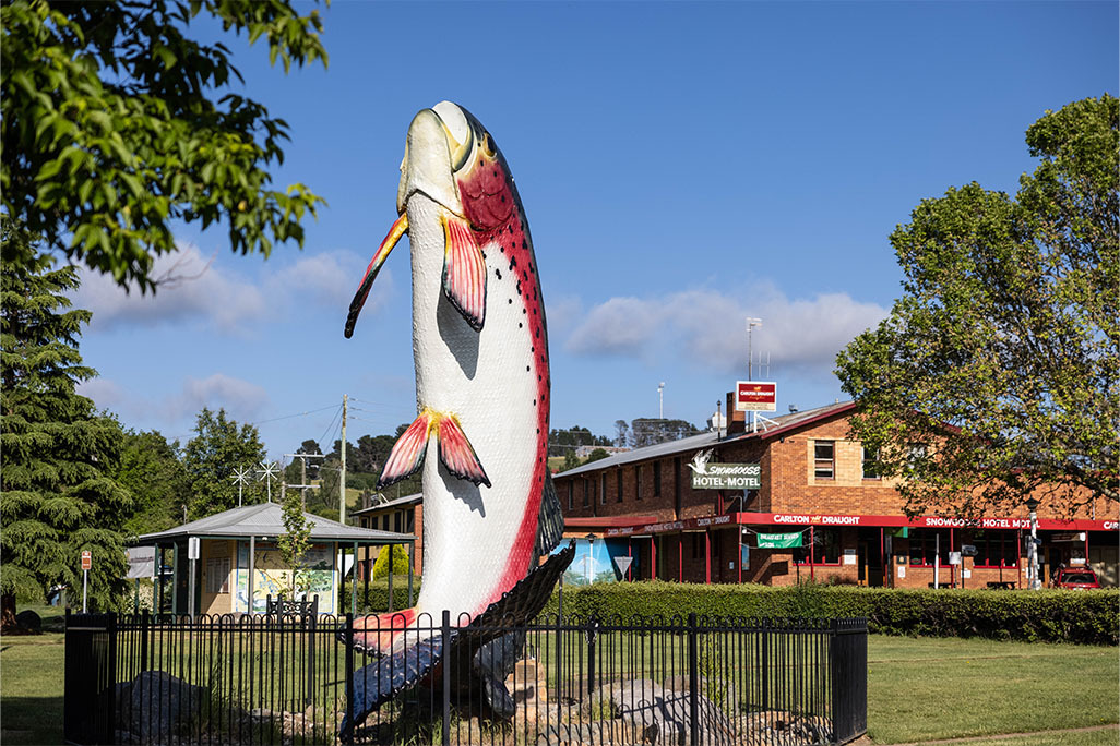 Looking for a Feed? Find the Best Country Pubs | Snowy Mountains